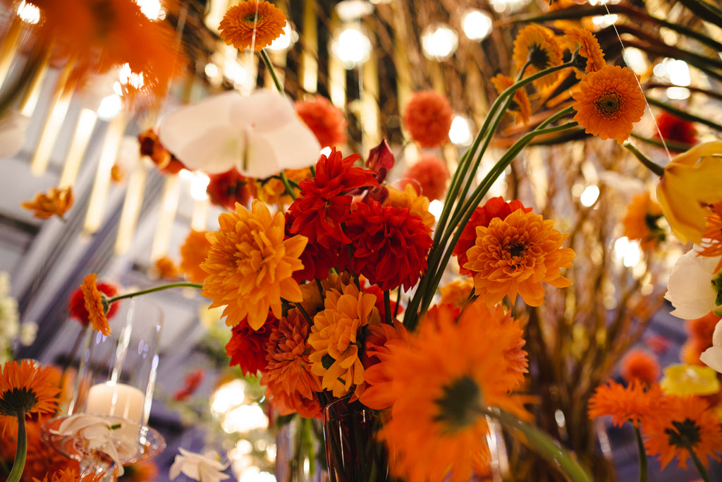 January designs – Fiori