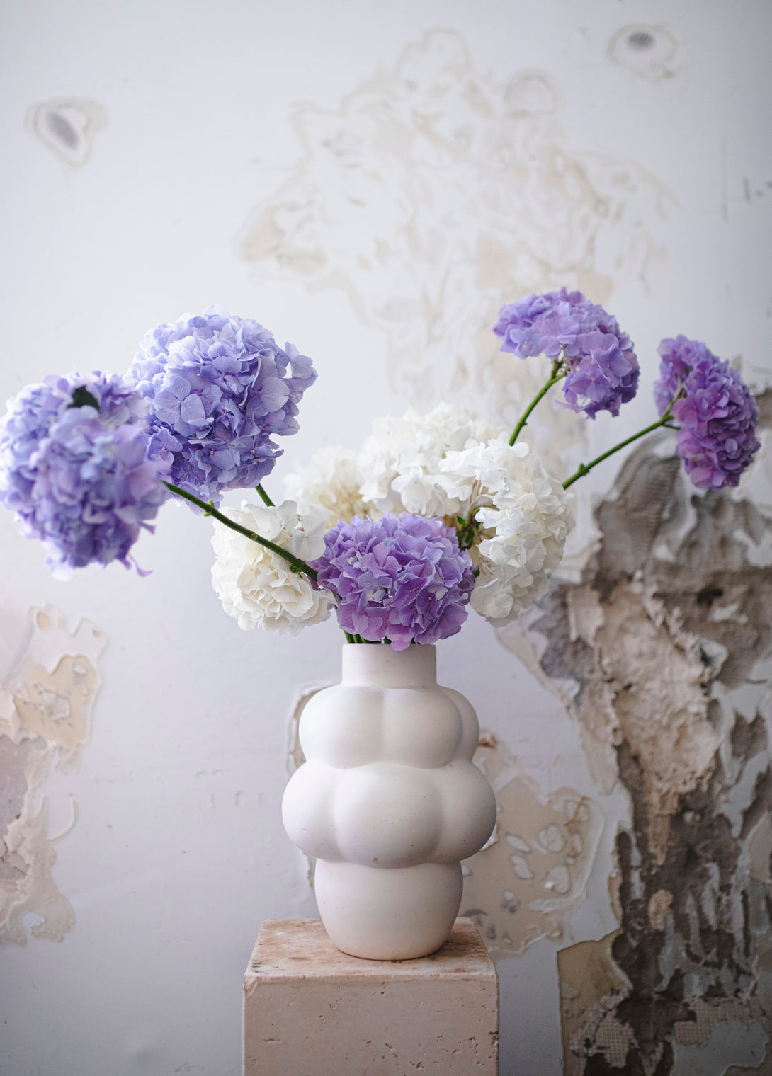 Hydrangea arrangement – Fiori